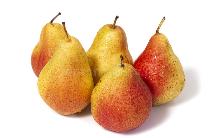 Forelle Red and Yellow Pears Stock Photo - Image of drops, forelle ...