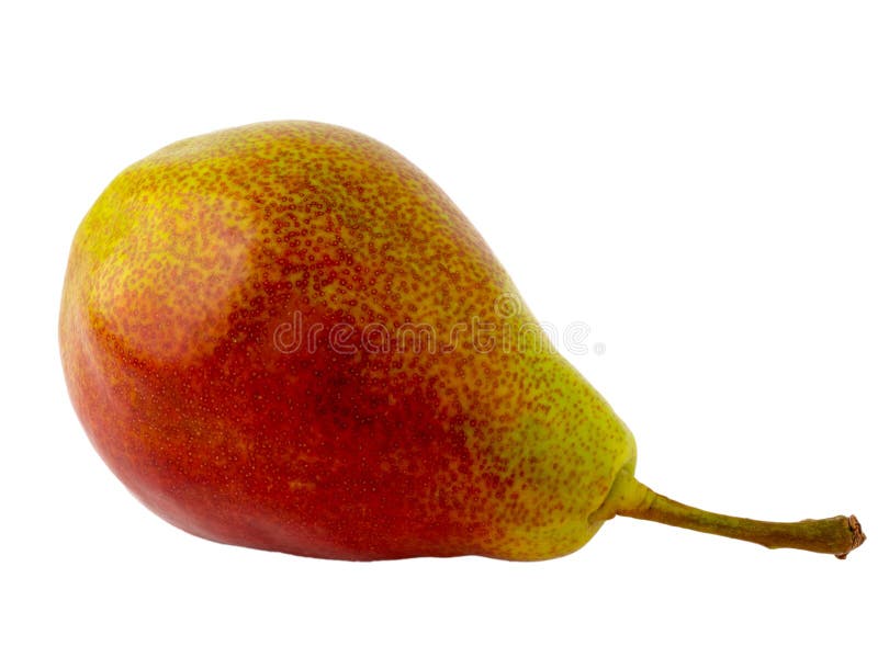 Forelle Vermelho-verde Do Cultivar Da Pera Foto de Stock - Imagem de ...