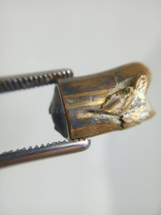 Forensic Ballistic Examination Stock Photo - Image of wing, brown ...