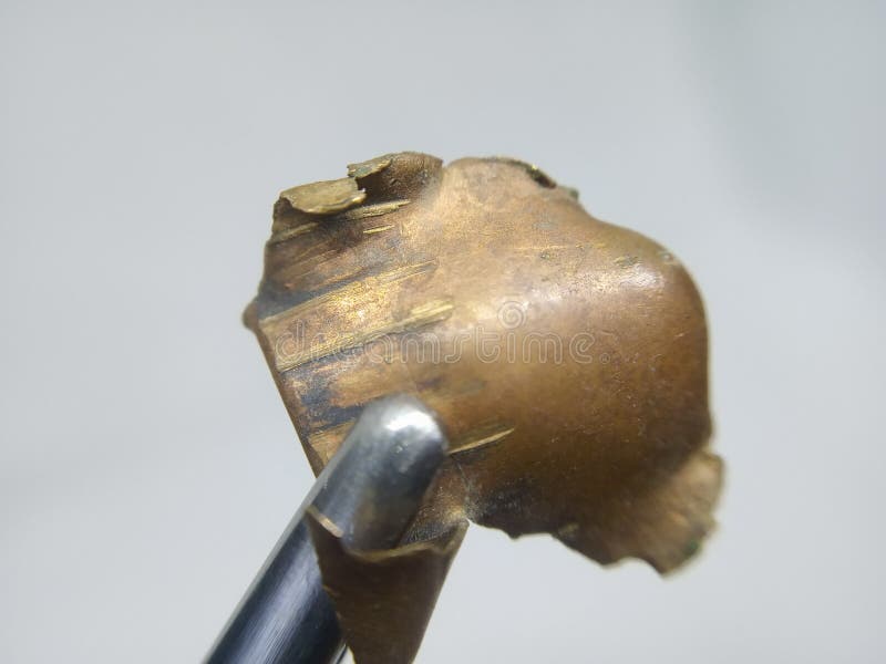 Forensic Ballistic Examination Stock Photo - Image of bust, head: 177889494