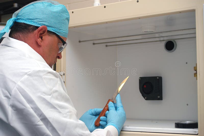 Forensic expert. stock image. Image of doctor, fact, truth - 19047639