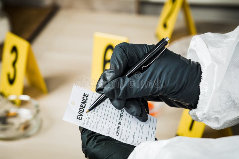 Forensic Expert Records Data in the Form of Evidence. the Concept of ...