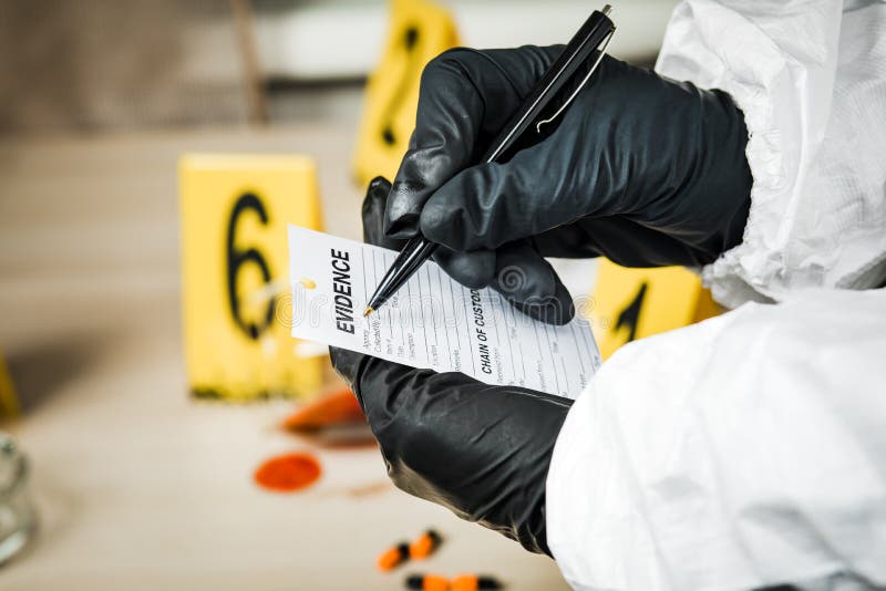 Forensic Expert Records Data in the Form of Evidence. the Concept of ...