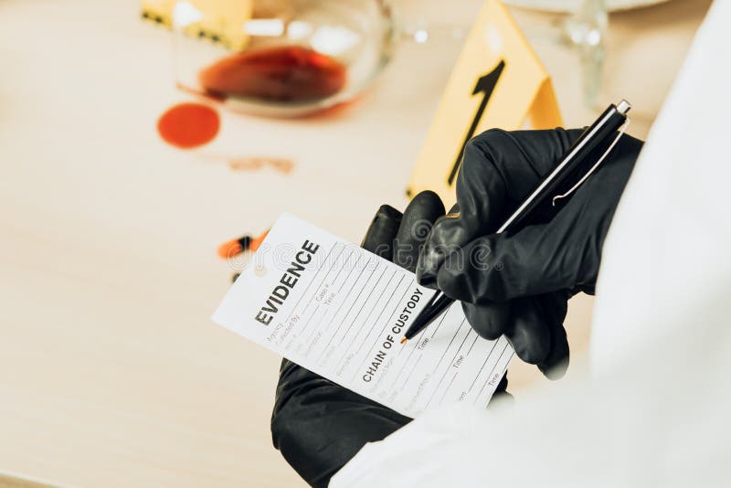 Forensic Expert Records Data in the Form of Evidence. the Concept of ...