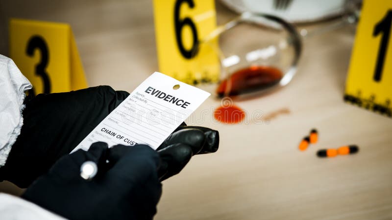 Forensic Expert Records Data in the Form of Evidence. the Concept of ...