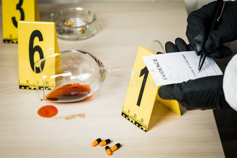 Forensic Expert Records Data in the Form of Evidence. the Concept of ...