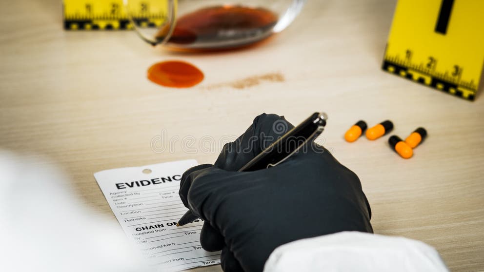 Forensic Expert Records Data in the Form of Evidence. the Concept of ...