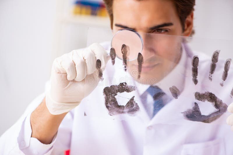 The Forensic Expert Studying Fingerprints in the Lab Stock Image ...