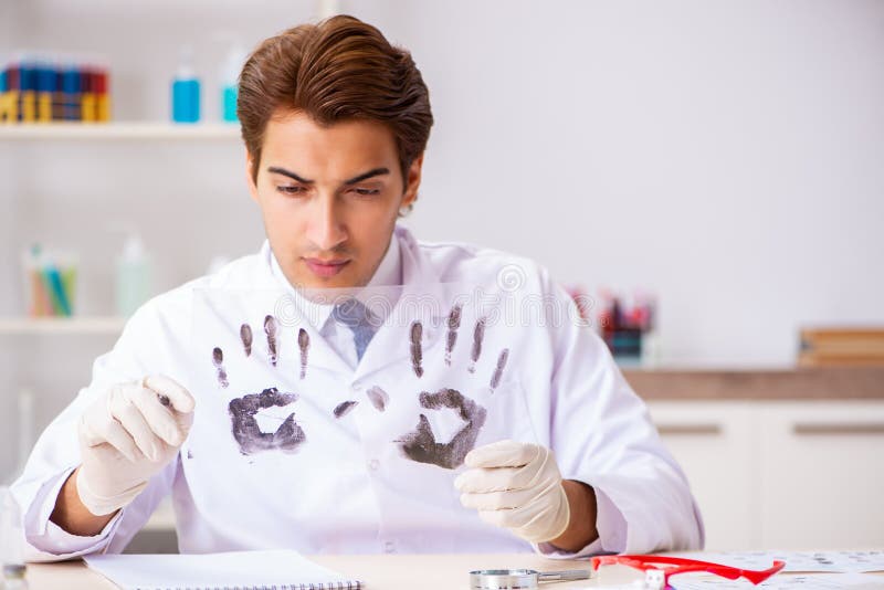 Forensic Expert Collecting Evidence Stock Photo - Image of body, scene ...