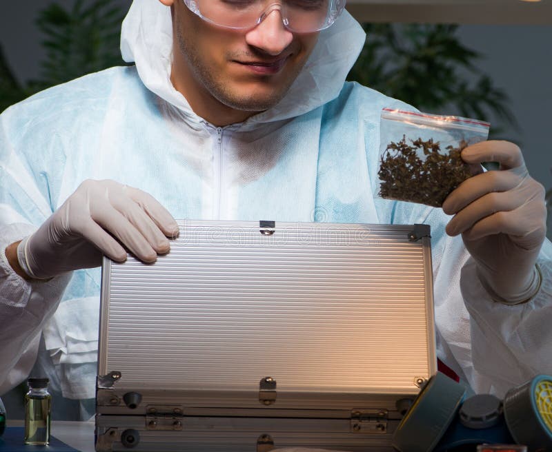 Forensic Investigator Working in Lab Looking for Evidence Stock Photo ...