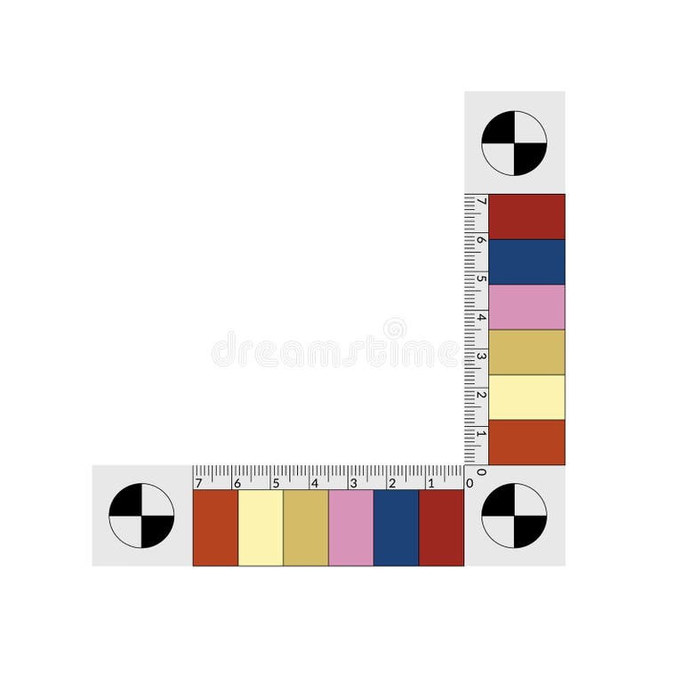 Forensic Ruler with a Color Samples Stock Vector - Illustration of ...