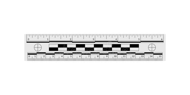 Ruler 10, 20, 30, 40, 50 Cm. Measuring Tool. Ruler Graduation. Ruler ...