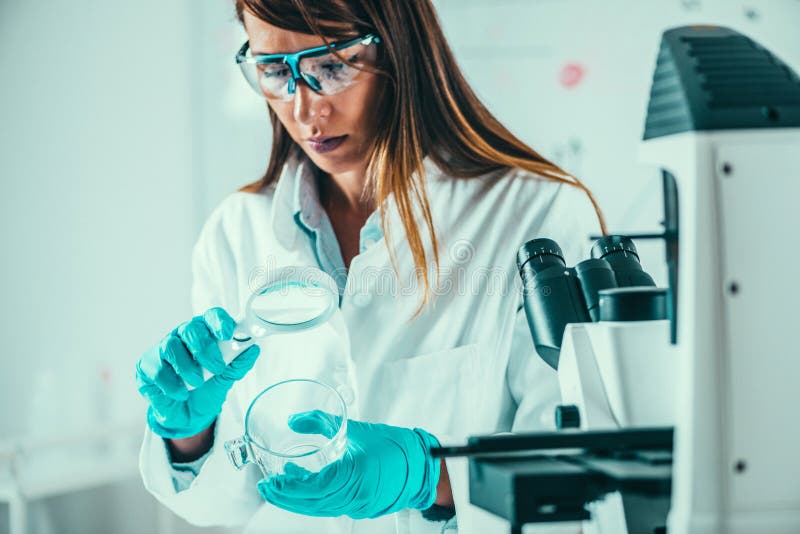 Forensic Science stock photo. Image of adult, equipment - 272733860