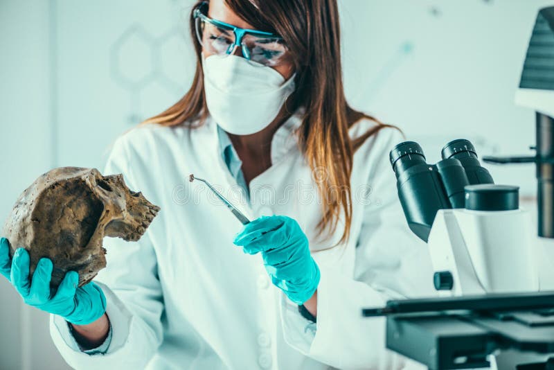 Forensic Science stock image. Image of females, adults - 272733971