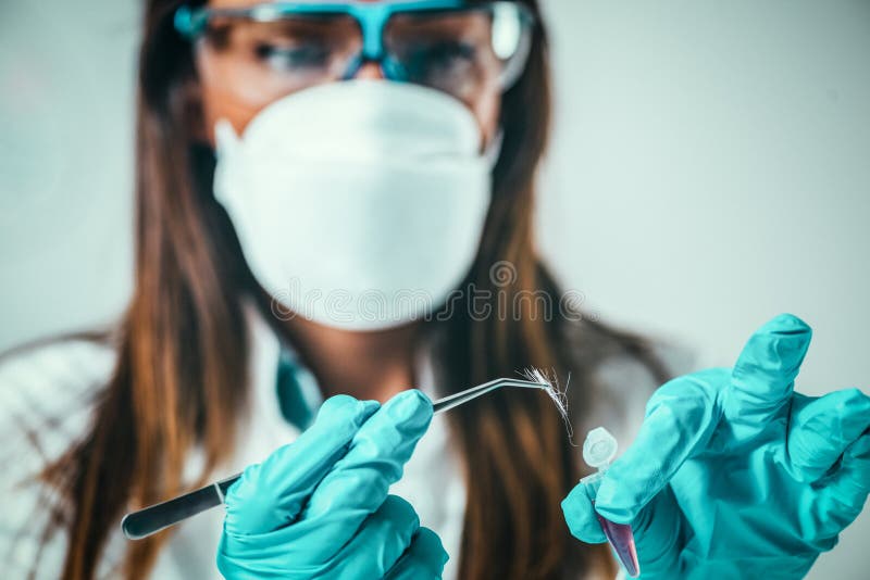 Forensic Science stock photo. Image of medical, expertise - 272733480