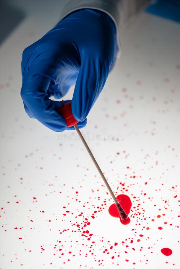 Forensic Technician Taking DNA Sample from Blood Stain Stock Image ...
