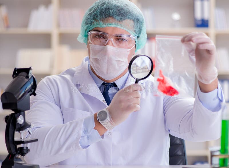 Forensics Investigator Working in Lab on Crime Evidence Stock Photo ...