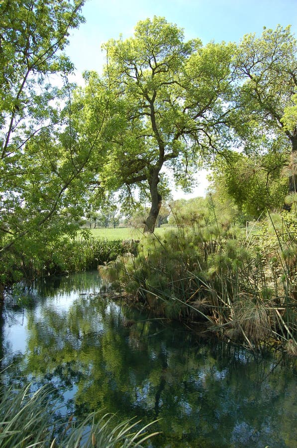 A Foreshortening Of Ciane River Picture. Image: 618879