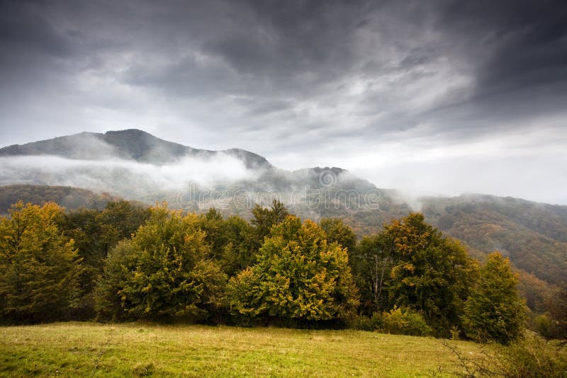 Forest stock photo. Image of calm, hill, clouds, timeless - 16981792