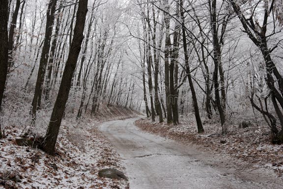 1,205 Bend Forest Walk Stock Photos - Free & Royalty-Free Stock Photos ...