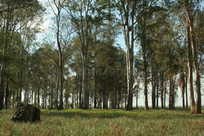 Free Nature pictures, photos & images - Royalty-Free and Public Domain ...