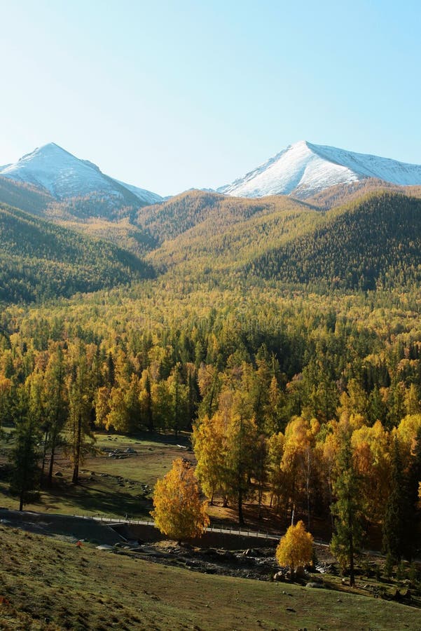 Colorado Winter landscape stock photo. Image of country - 2122040