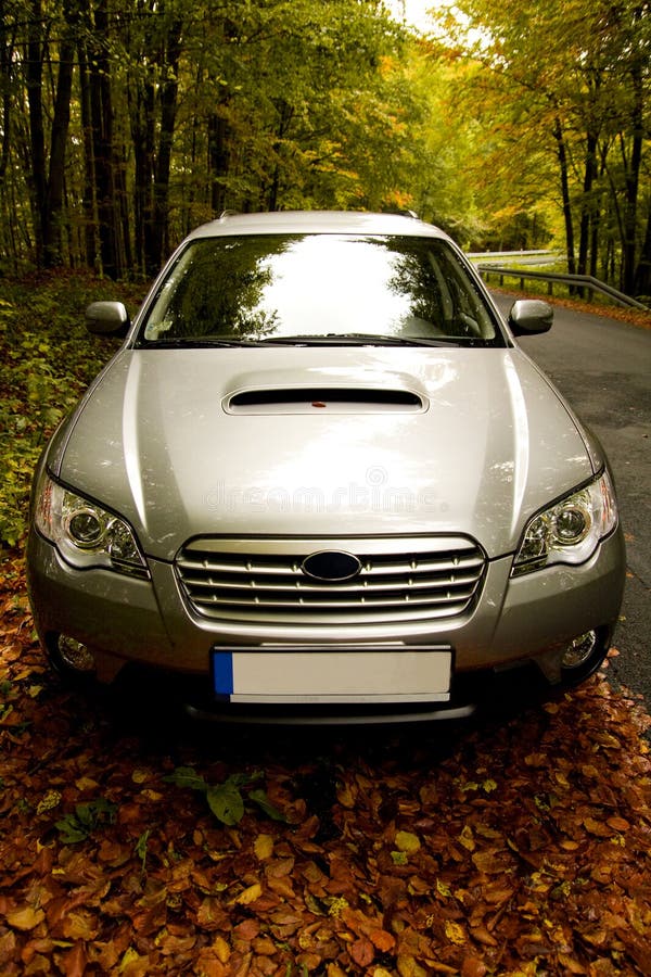 Silver SUV stock photo. Image of rear, park, trees, hatch - 6990952