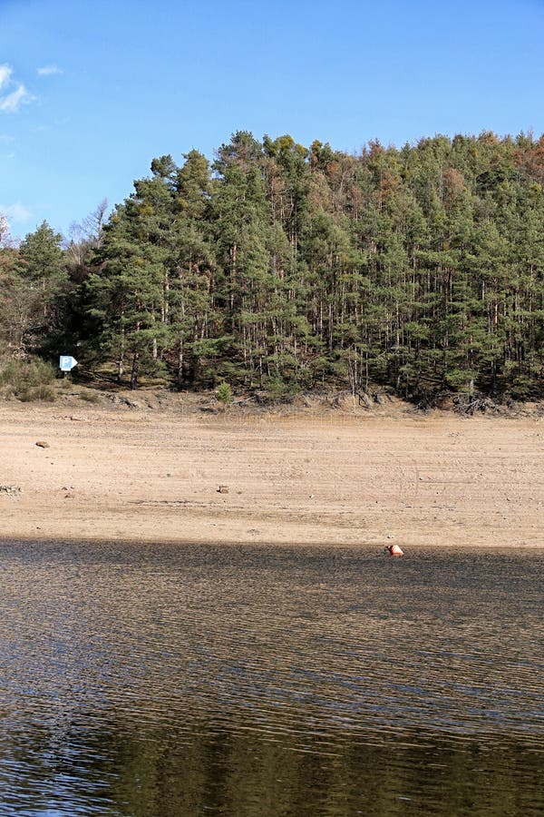 Forest Above Sandy Beach by the River Stock Image - Image of landscape ...