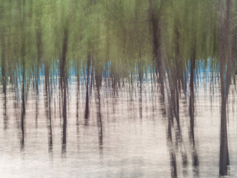 Impressionist Forest stock photo. Image of trunks, warm - 425412