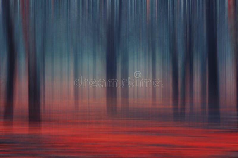 Abstract tropical forest stock image. Image of nature - 5127387