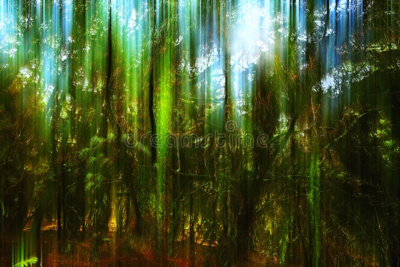 Forest abstract stock photo. Image of wood, fall, texture - 127621892