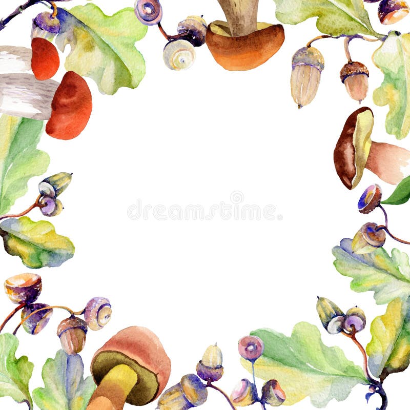 Forest Acorn Frame in a Hand Drawn Watercolor Style. Stock Illustration ...