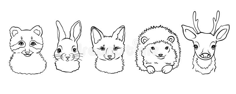 Forest Animals Face Vector Line Illustrations Set. Stock Illustration ...