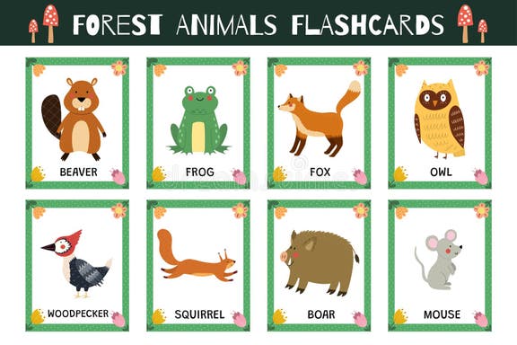 Forest Animals Flashcards Collection for Kids. Flash Cards Set with ...