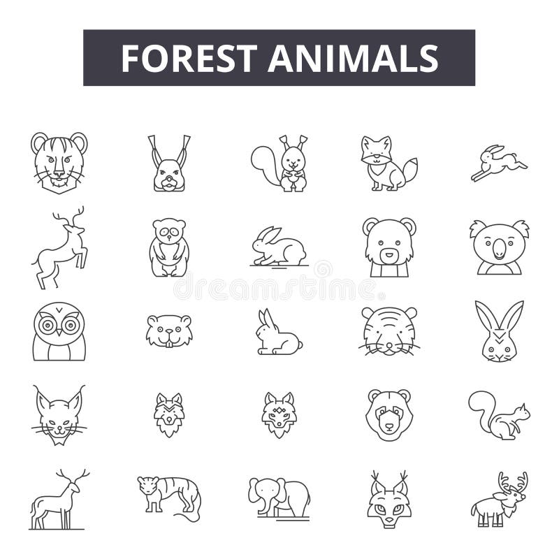 Forest Animals Line Icons, Signs, Vector Set, Outline Illustration ...