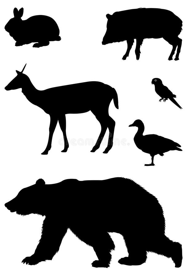 Forest animals silhouette stock vector. Illustration of bird - 35566383