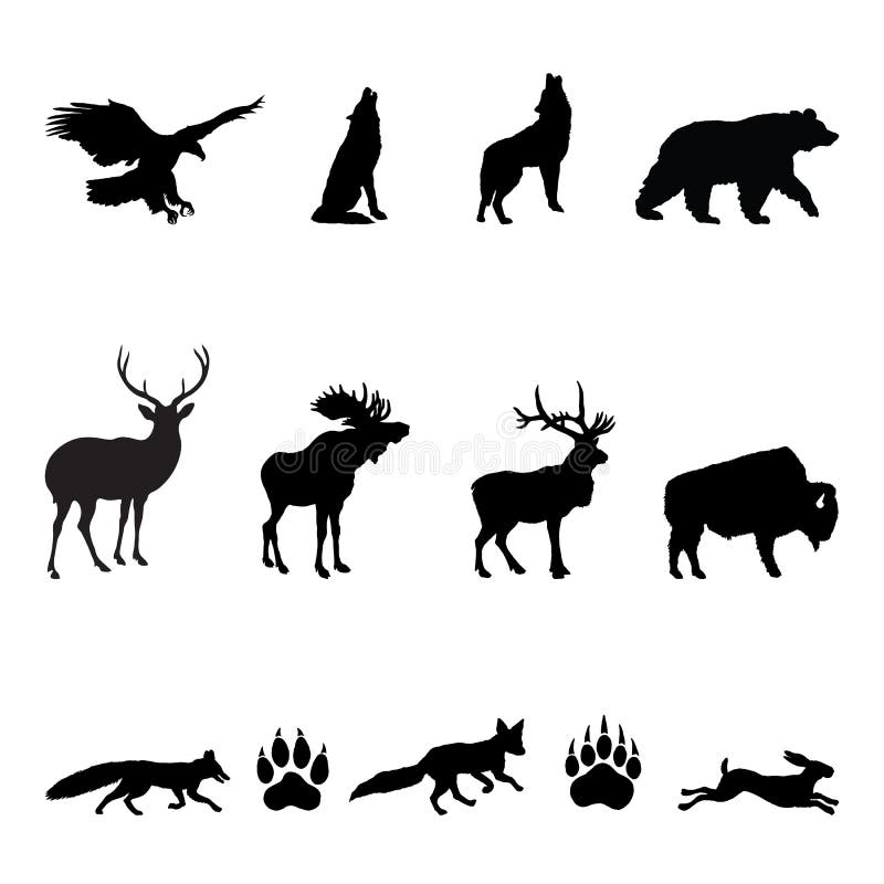 Bison Vector Clipart Stock Illustrations – 2,583 Bison Vector Clipart ...