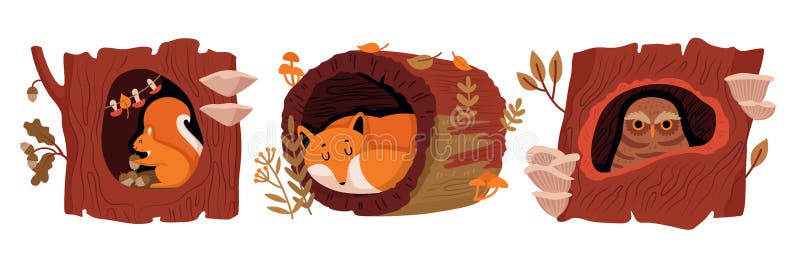 Forest Animals in Tree Hollow Compositions Stock Illustration ...