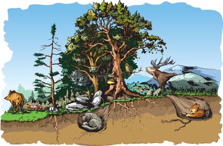 Lair Stock Illustrations – 1,303 Lair Stock Illustrations, Vectors ...