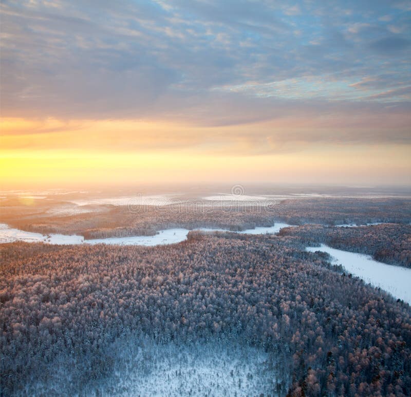 Forest Area with Beautiful Sunset in Winter Stock Photo - Image of ...