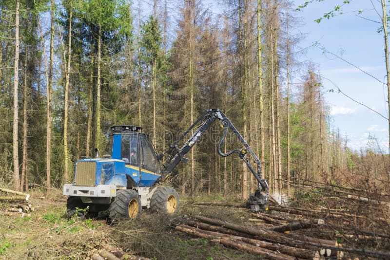 Forest Area Cleared after Bark Beetle Infestation and Drought Editorial ...