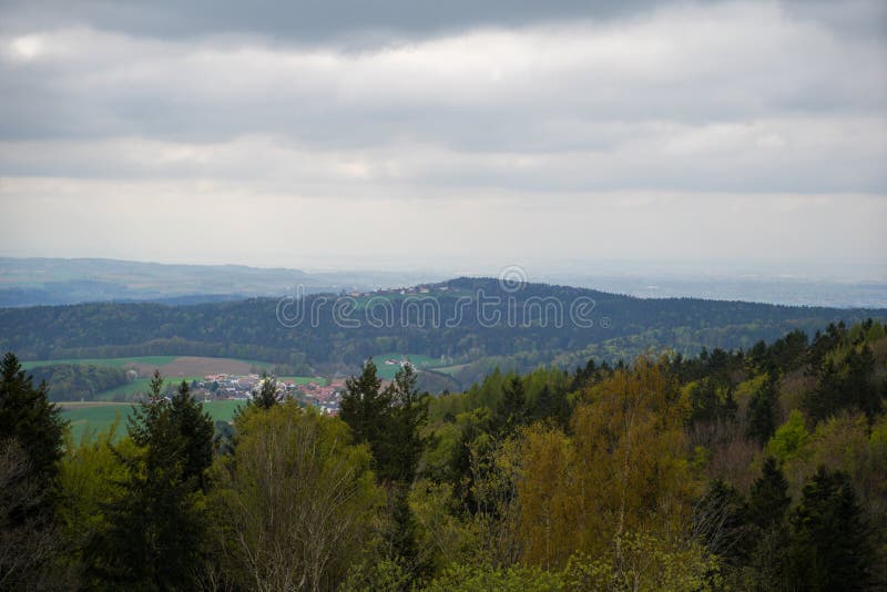 Forest areas in Germany stock photo. Image of outdoors - 248254536