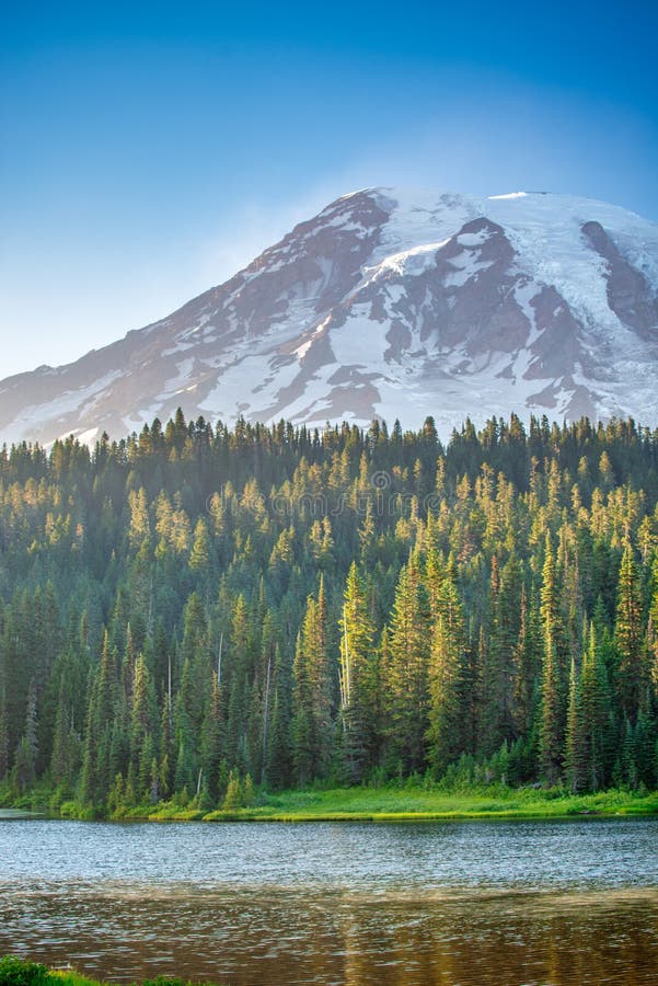 Forest Around Mount Rainier in Summer Season Stock Photo - Image of ...