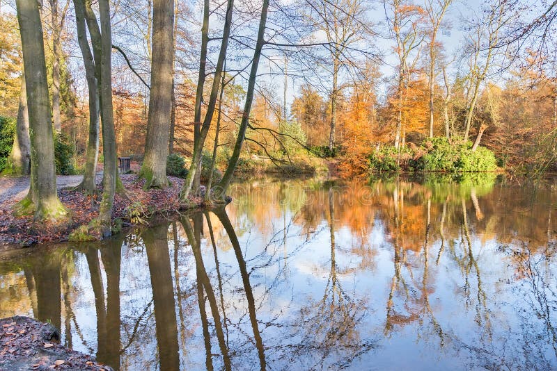 Forest in Autumn Colors with Pond Stock Photo - Image of orange, europe ...