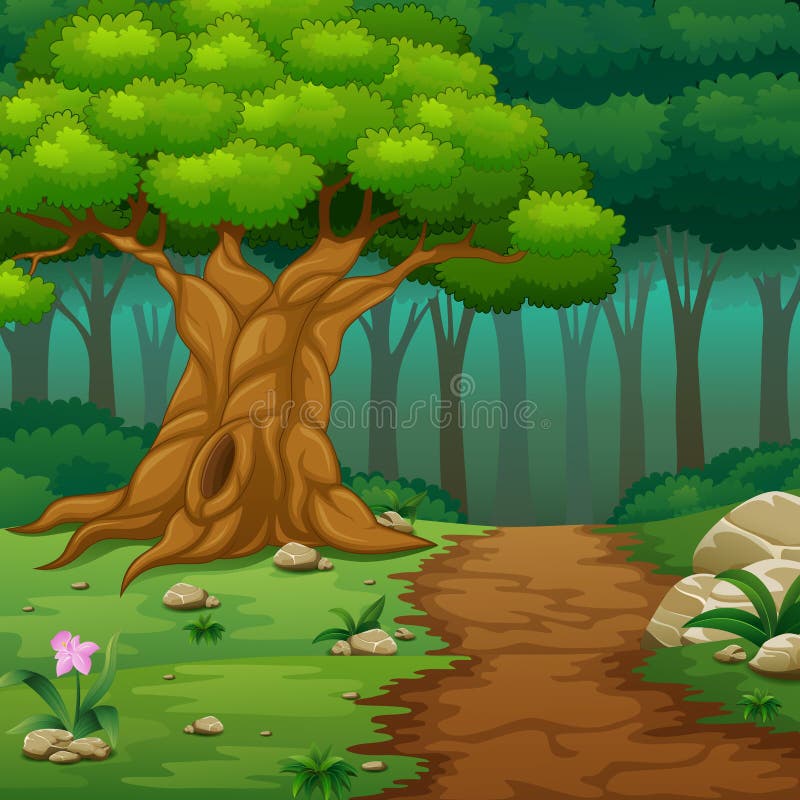 Forest Road Stock Illustrations – 50,346 Forest Road Stock ...