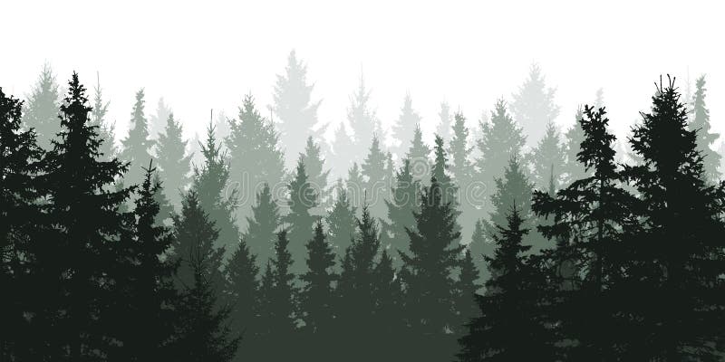 Evergreen Branch Silhouette Evergreen Tree Silhouette Images