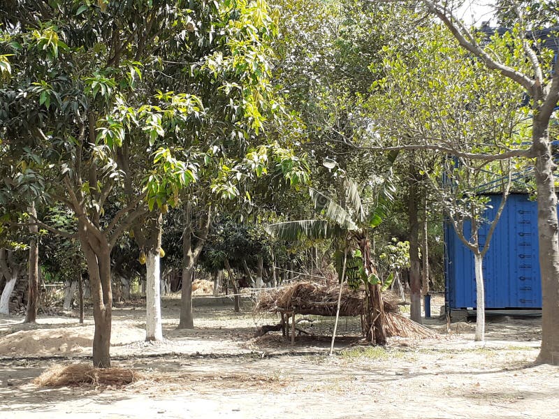 Bagicha Stock Photos - Free & Royalty-Free Stock Photos from Dreamstime