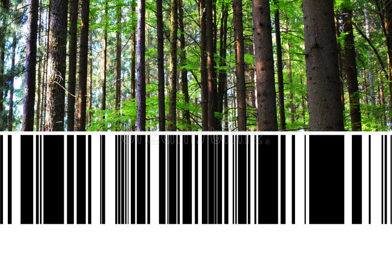 Forest with Barcode stock image. Image of health, burning - 99013967