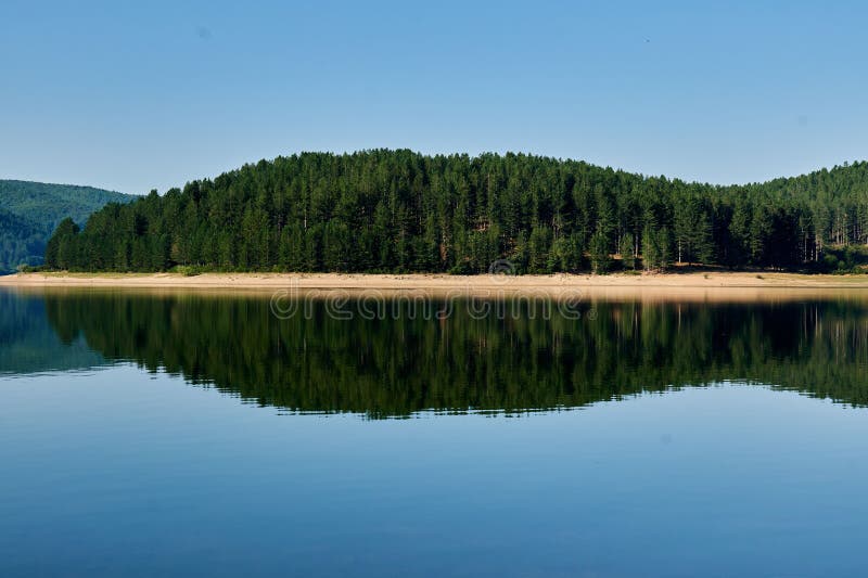 Forest on the Beach with Reflection in the Sea Water and a Mountain ...