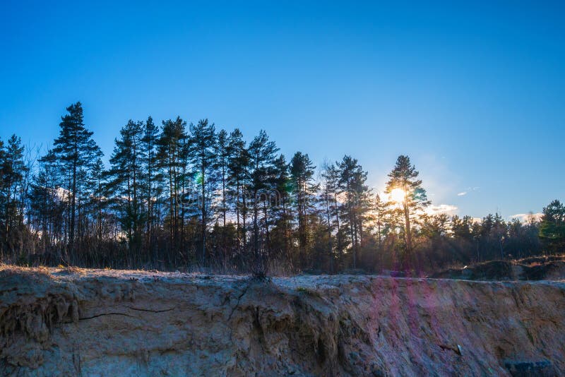 Forest and the Beautiful Blue Cloudless Sky Stock Image - Image of golf ...